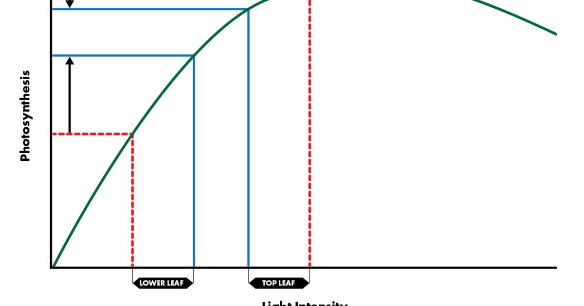 Why Diffuse Light Works Redusystems
